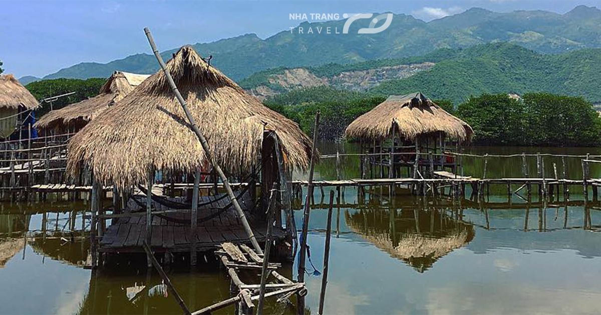 Rừng Đước Nha Trang: Rừng Ngập Mặn Duy Nhất Còn Sót Lại